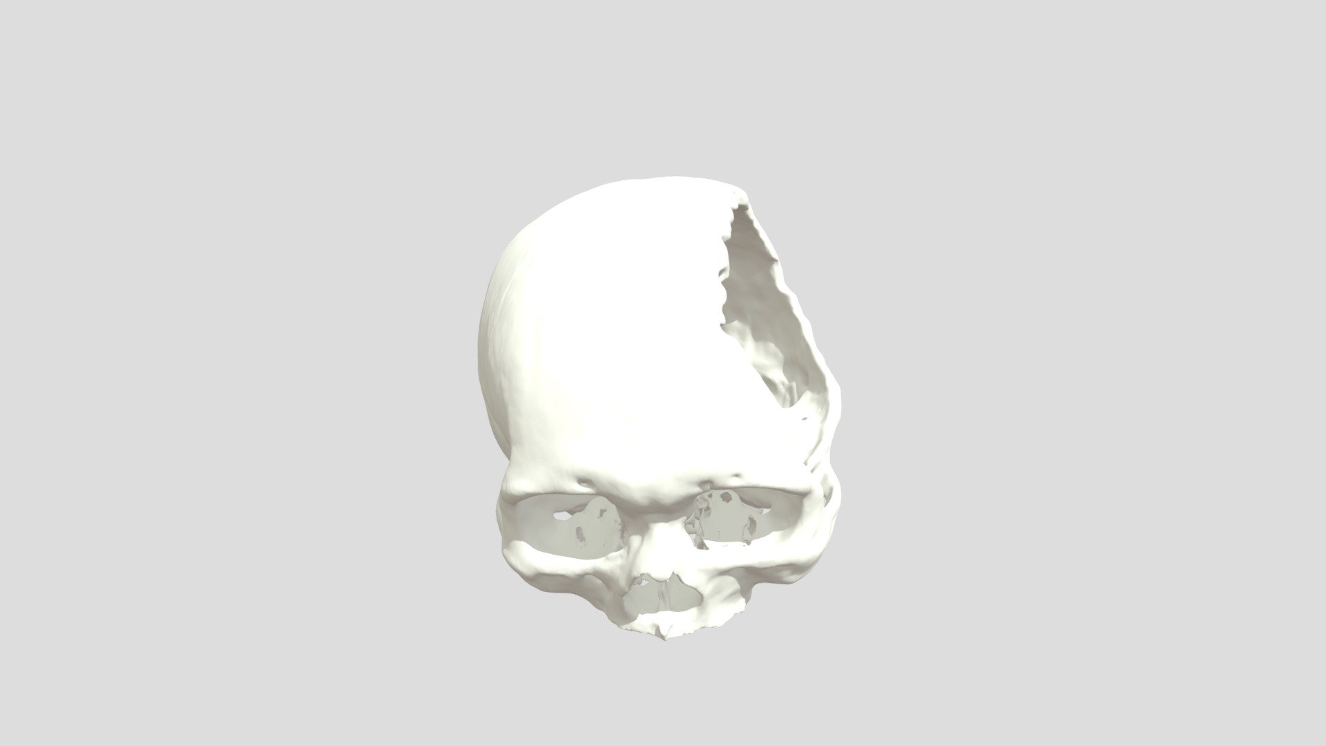 SCULL_work_duplicate - 3D model by tregubova [e689c45] - Sketchfab
