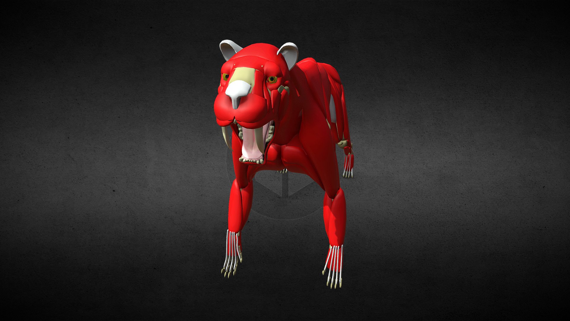 Smilodon Fatalis (muscle) - 3D model by KrStolorz (Krzysztof Stolorz ...