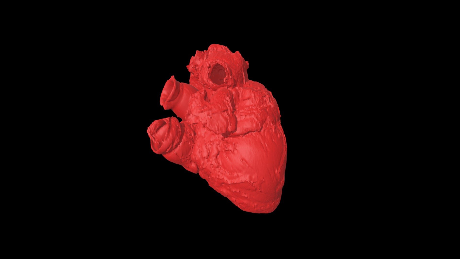 Adult Tissue Model- Heart0094 - Download Free 3D model by ...