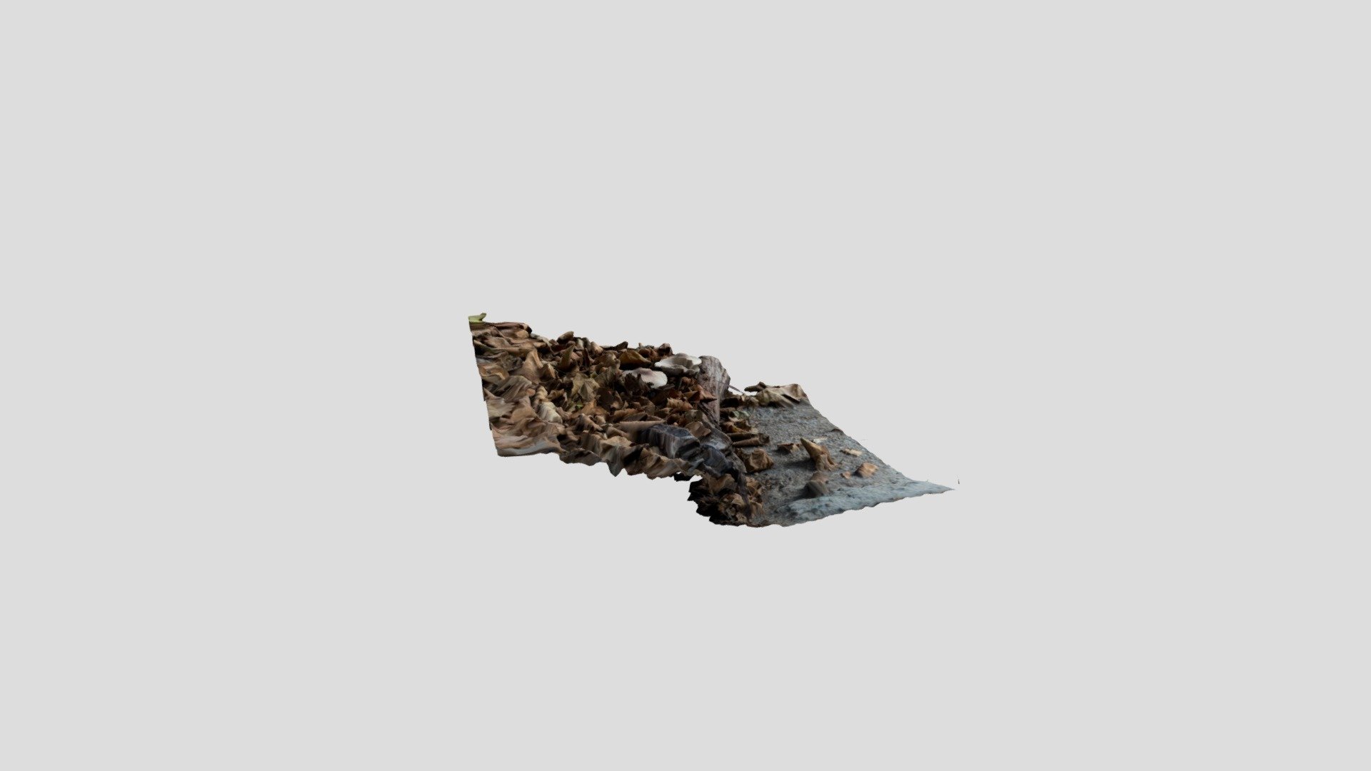 fine fungus foraging from frank’s frendly poop - Download Free 3D model ...