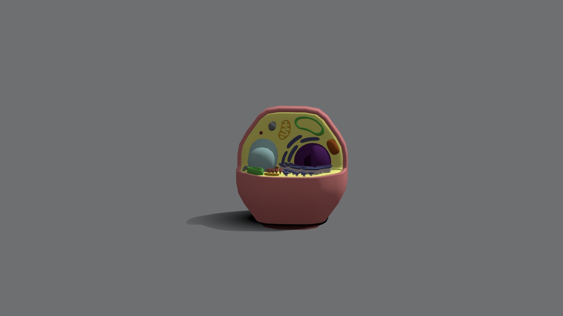 Plant cell 3D - 3D model by randiteo2 [e69b09d] - Sketchfab