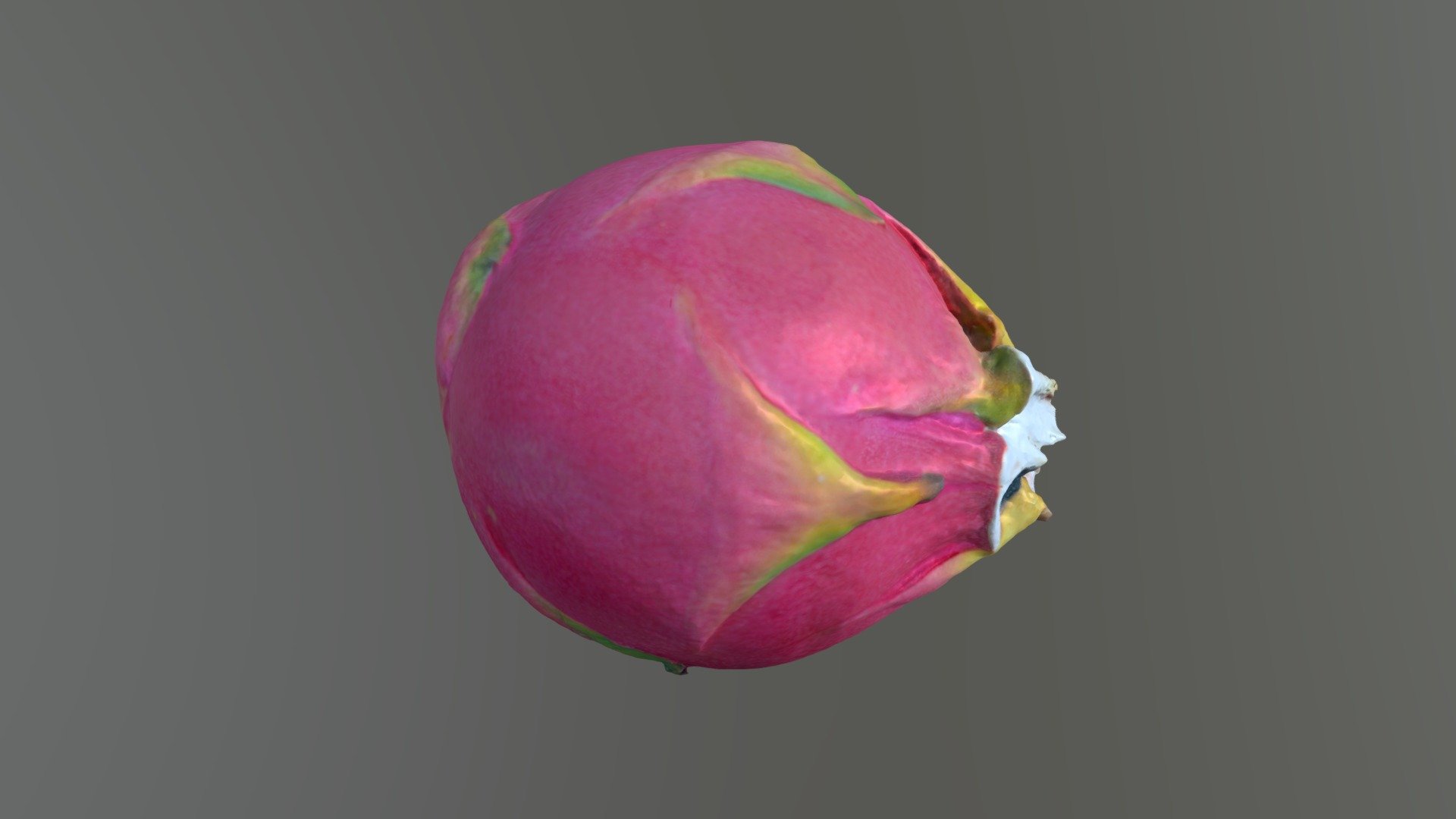 Dragon Fruit - Download Free 3D model by CHEI - UC San Diego (@chei ...
