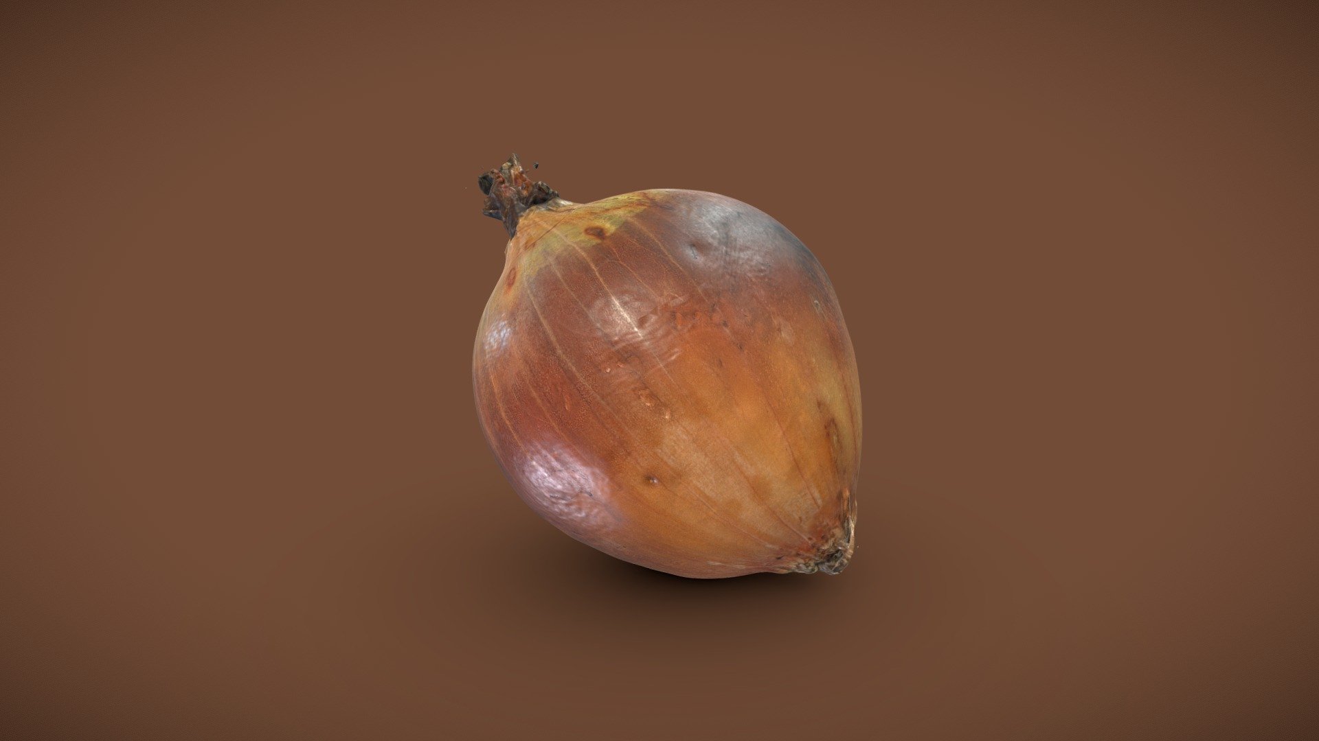 Onion 3d model - 3D model by Hypercube (@Hypercube3dscan) [e69f67a ...