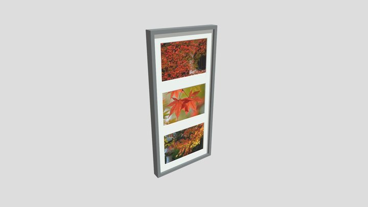 Momiji 3D models - Sketchfab