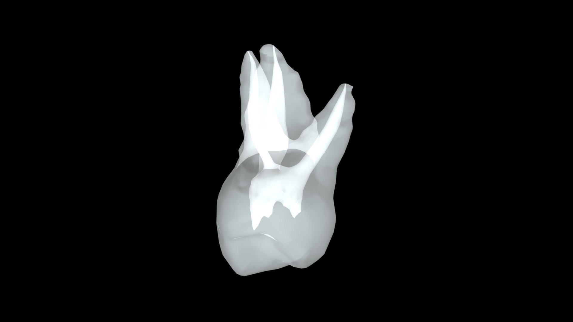 Tooth 2-B - 3D model by biomed3d [e6a4340] - Sketchfab