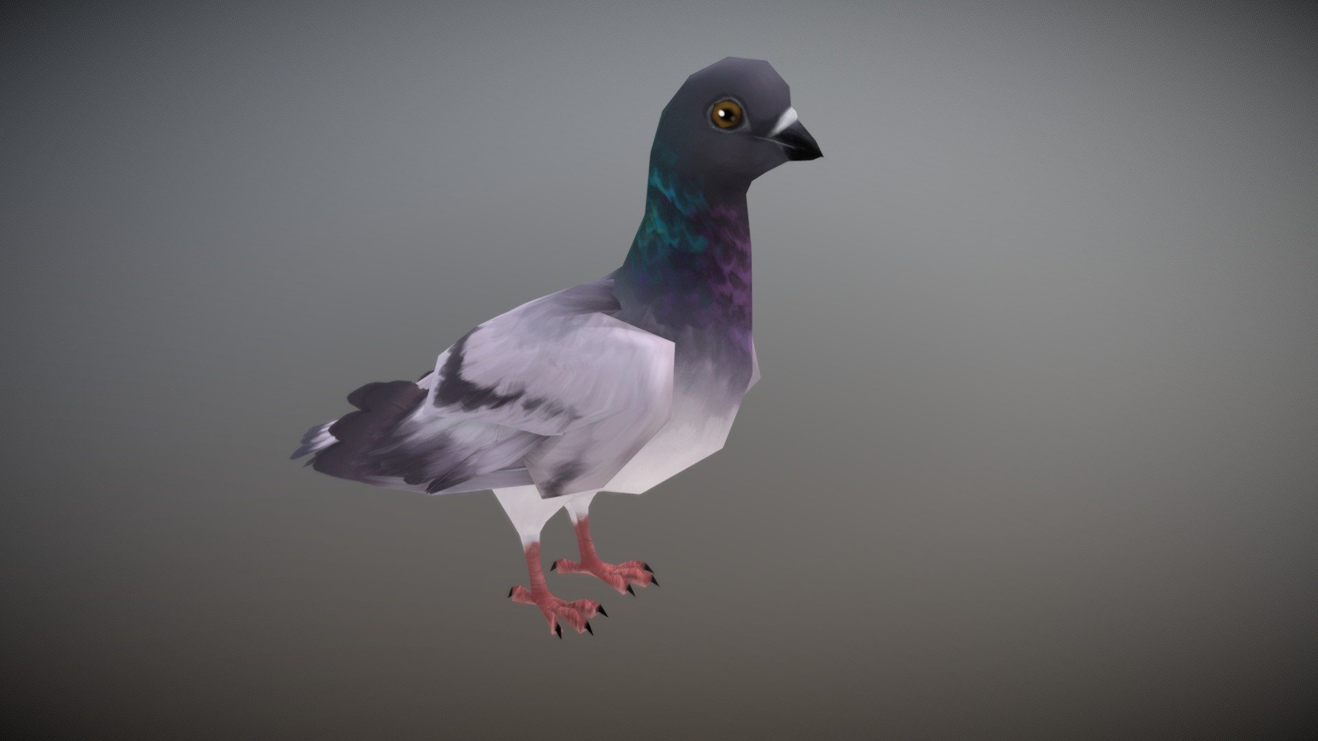 Simple Pigeon - 3D model by lifeon [e6a4411] - Sketchfab