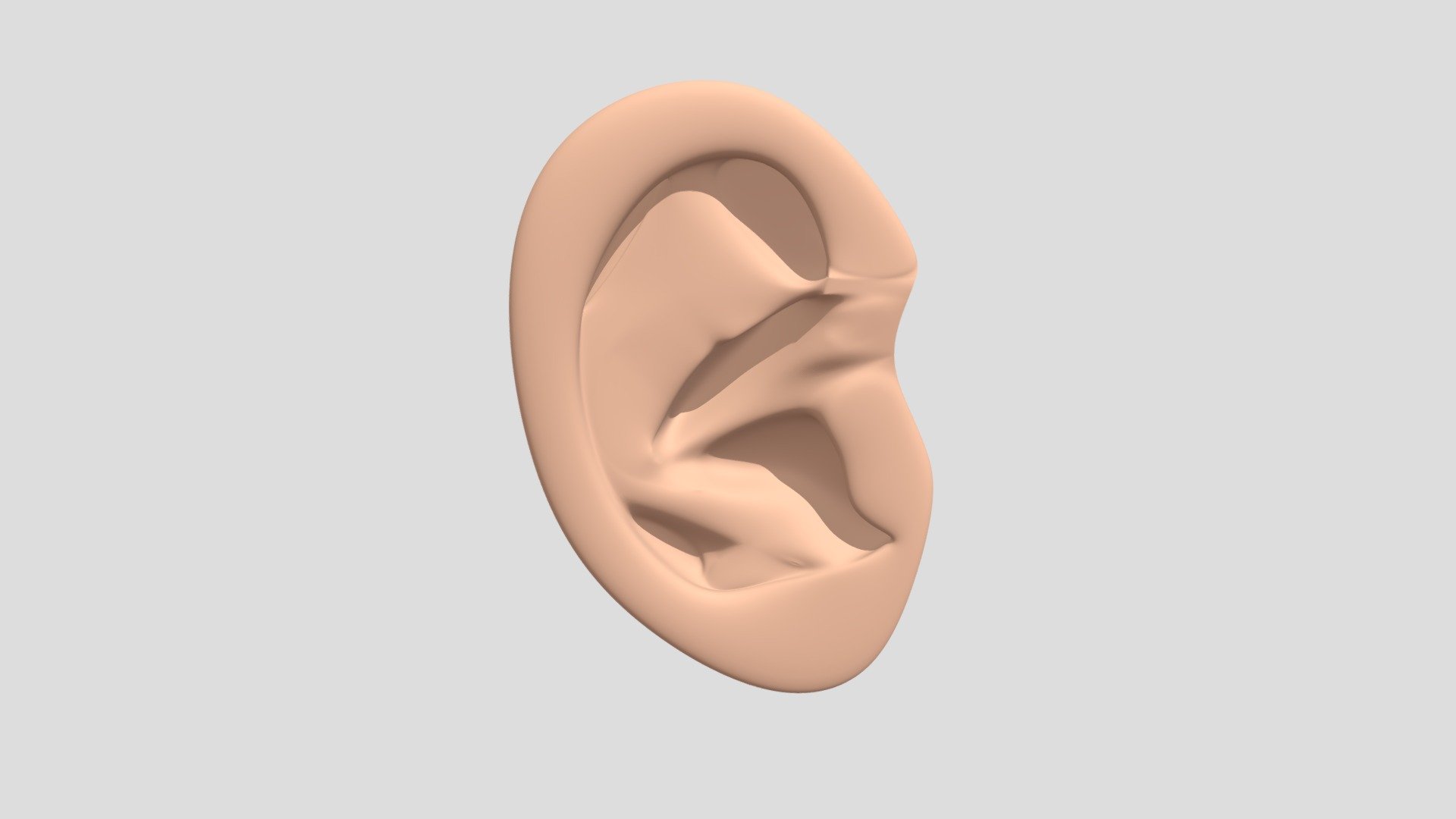 Oreja - 3D model by EmilianaMF [e6a7006] - Sketchfab