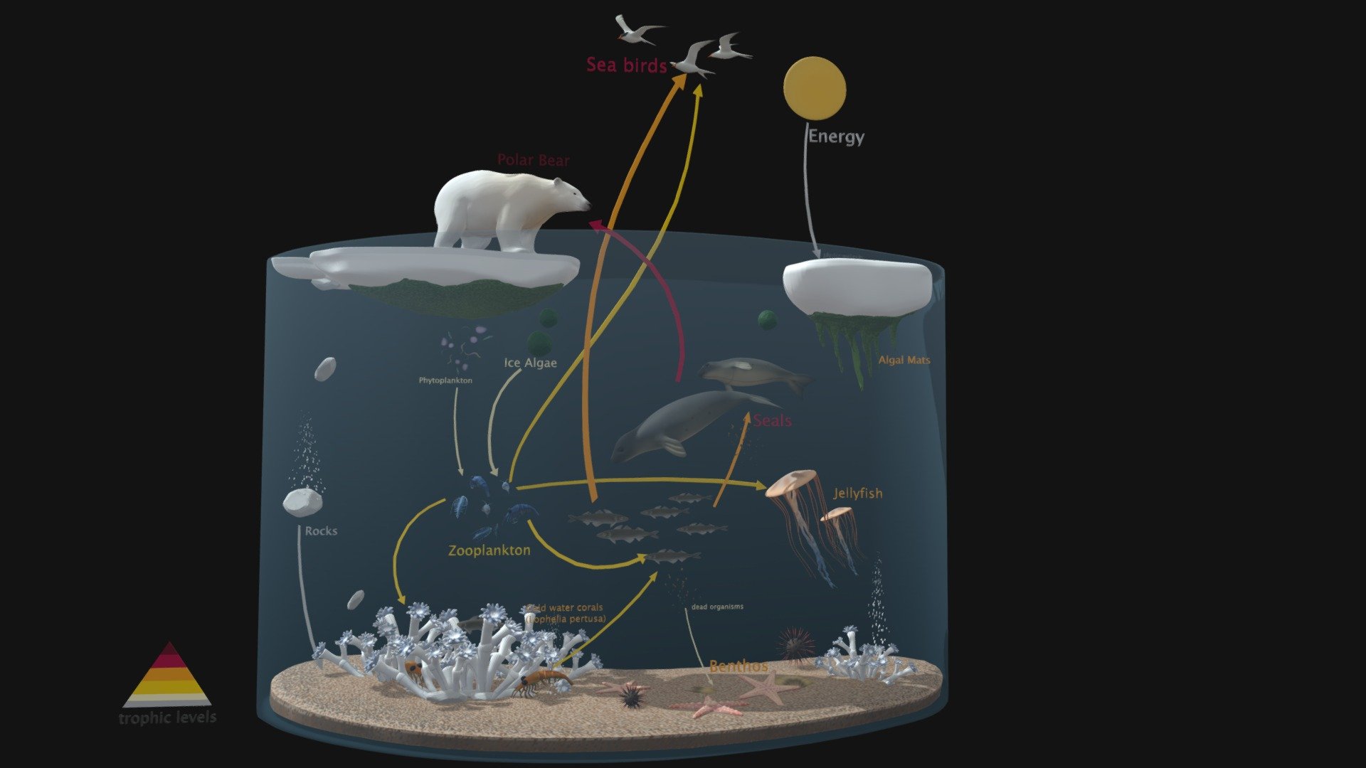 Arctic Ecosystem - 3D model by gokcenyuksek [e6ae5b8] - Sketchfab