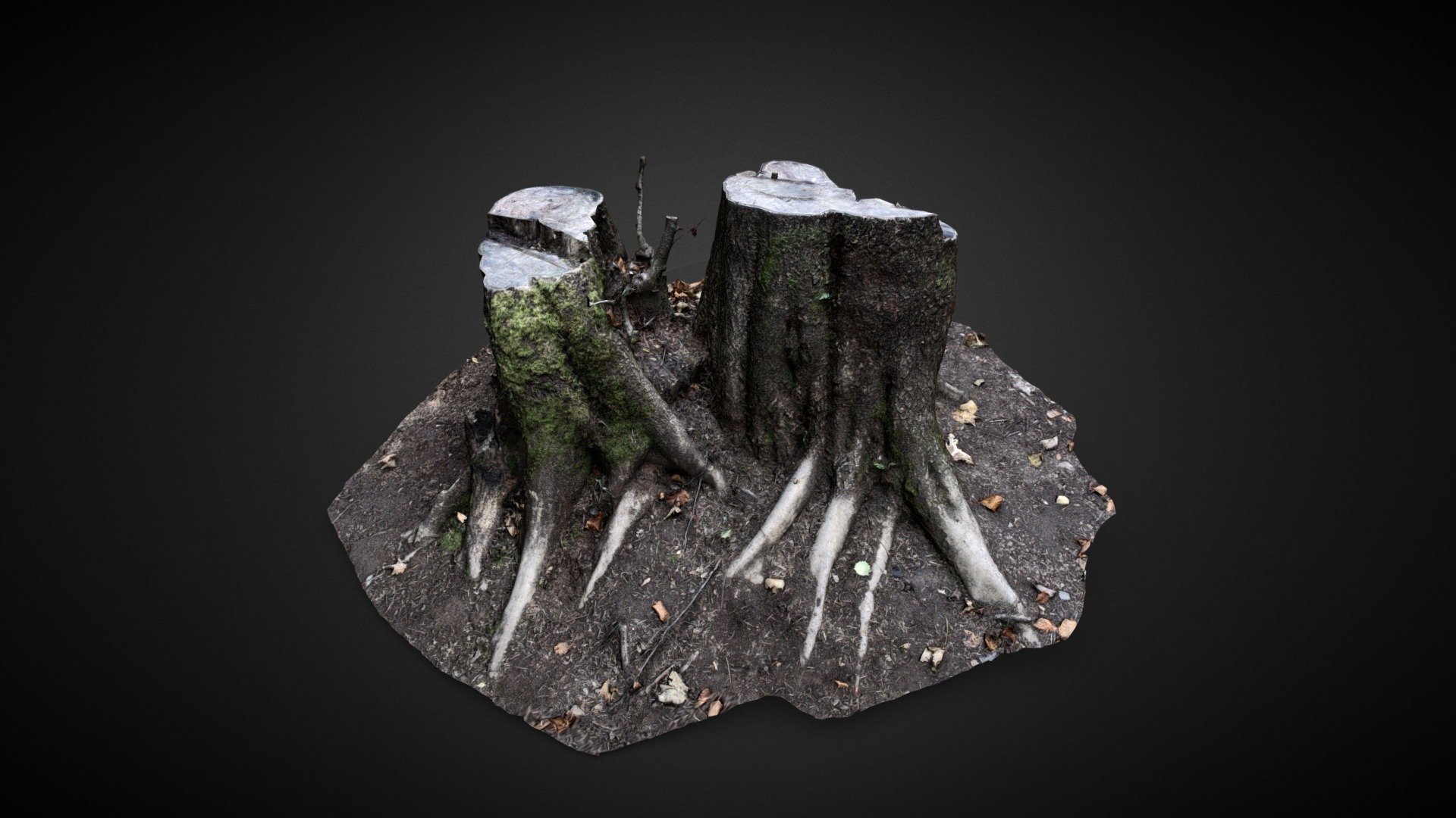 Double tree stump - Download Free 3D model by Zygomir.Fabricati.Diem ...