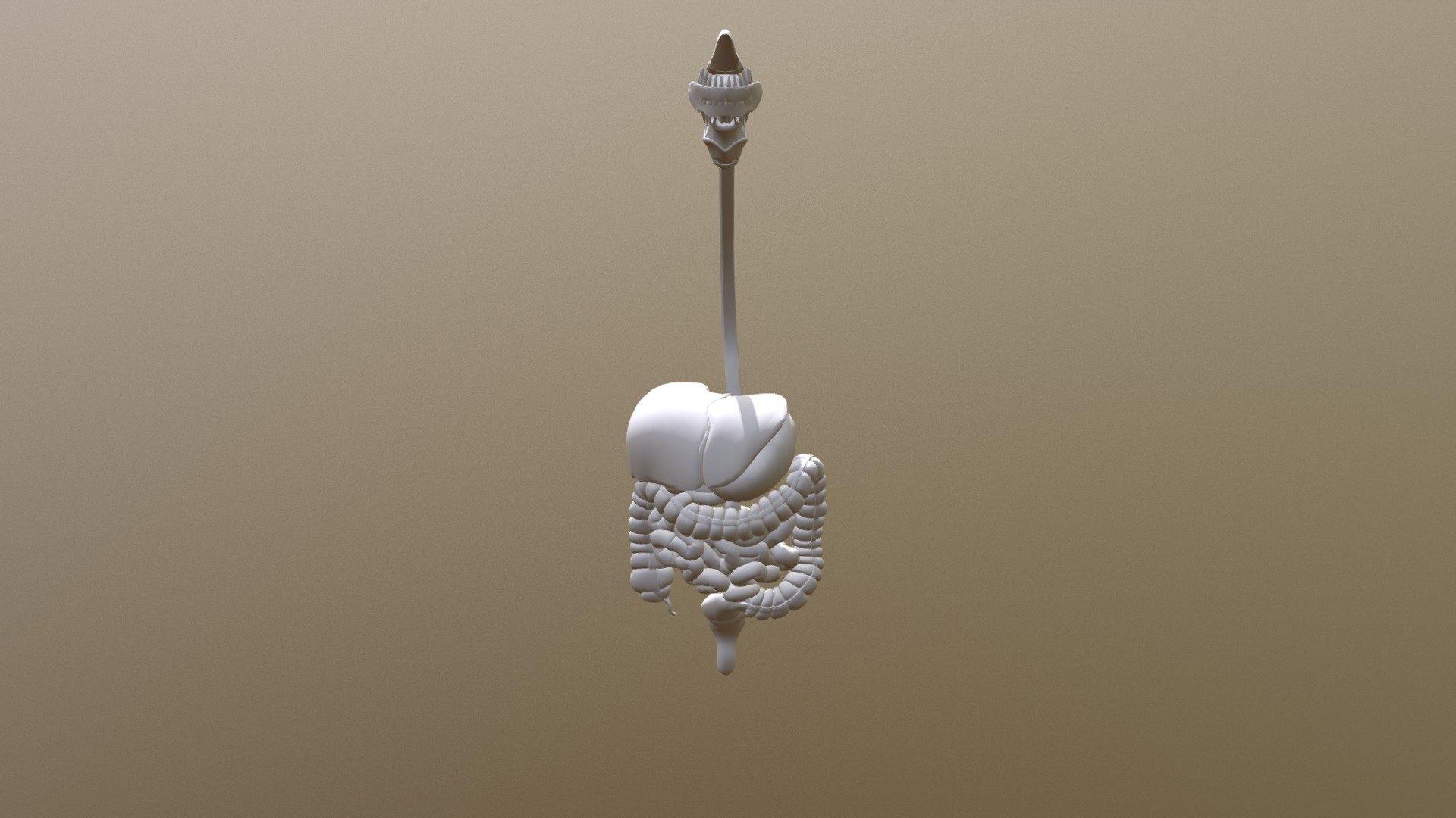 Organs Only - 3D model by bmeier [e6c1561] - Sketchfab