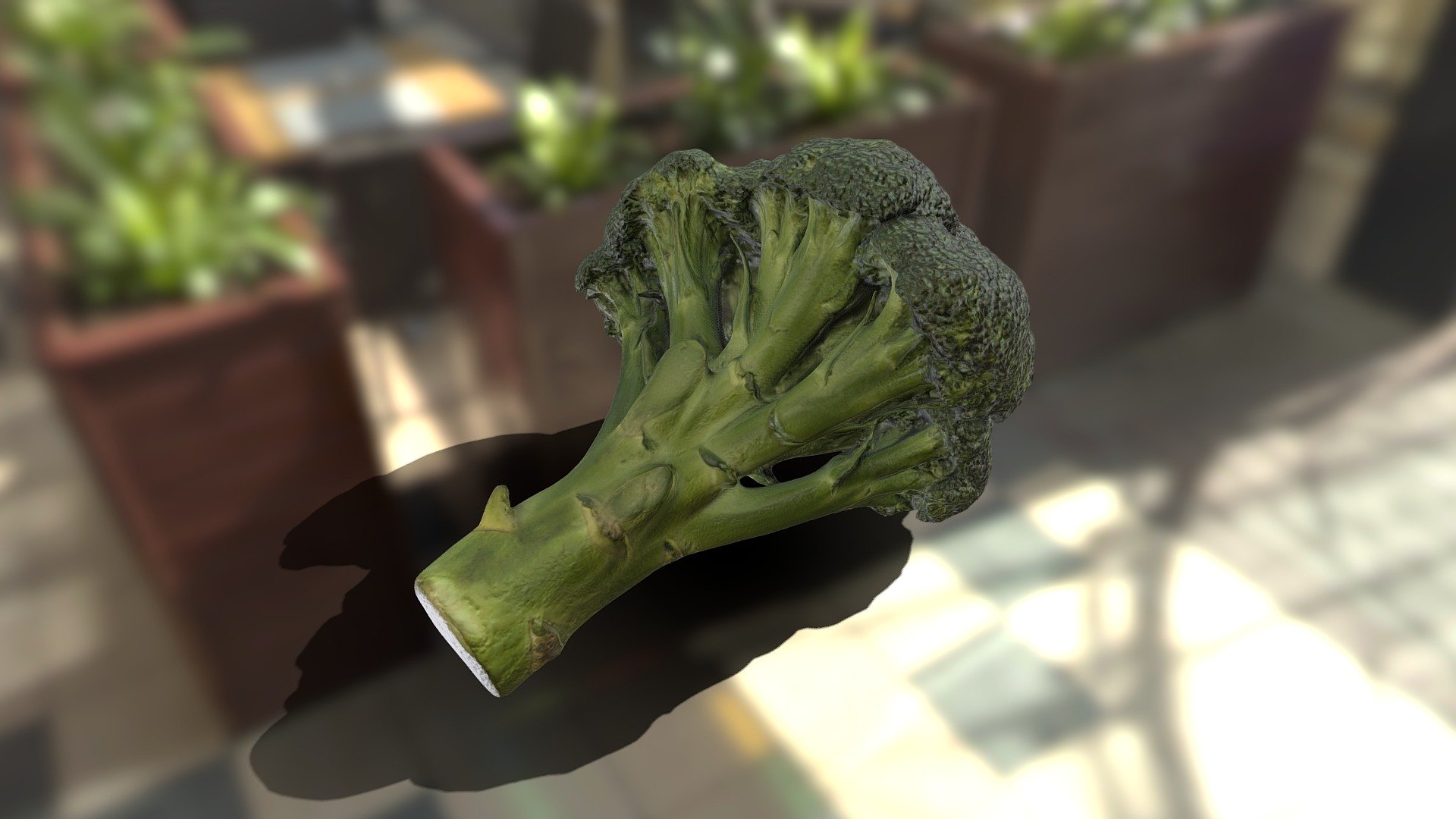 Broccoli photogrammetry scan - Buy Royalty Free 3D model by Mashrok ...