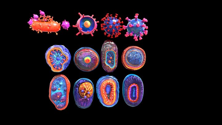 Biology 3D models - Sketchfab
