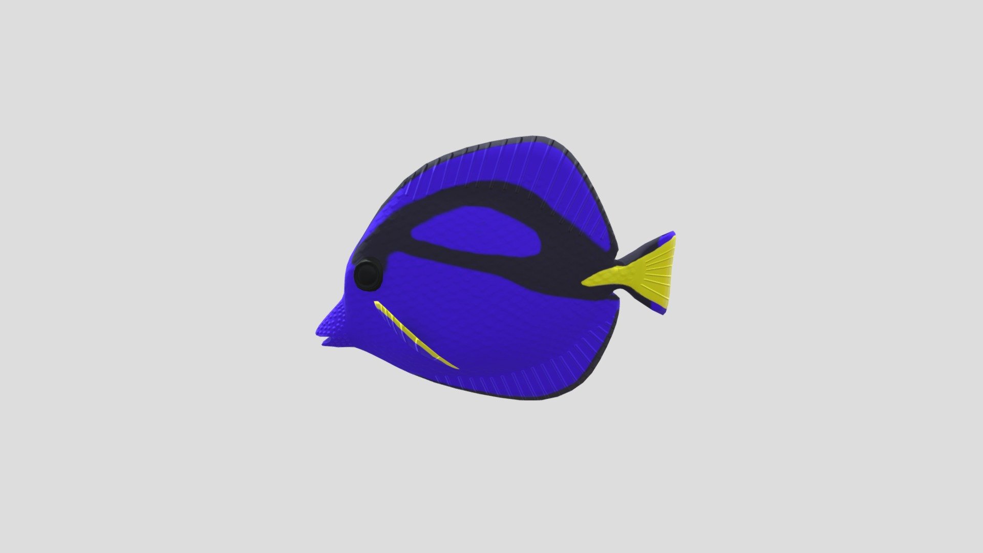 Blue Tang Fish - 3D model by Kirk Stallings (@kirkstallings) [e6c6157 ...