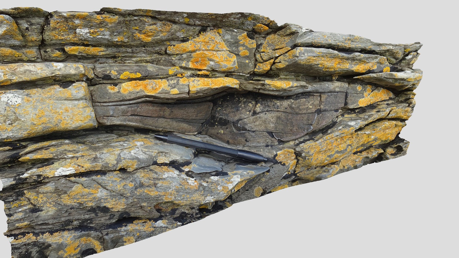 Shallow Marine Channels - 3D model by The Basin Dynamics Research Group ...
