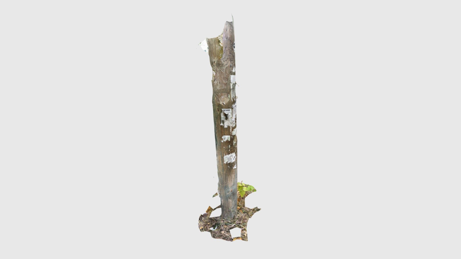Pillar 3d scan - Download Free 3D model by Artforce [e6cb180] - Sketchfab
