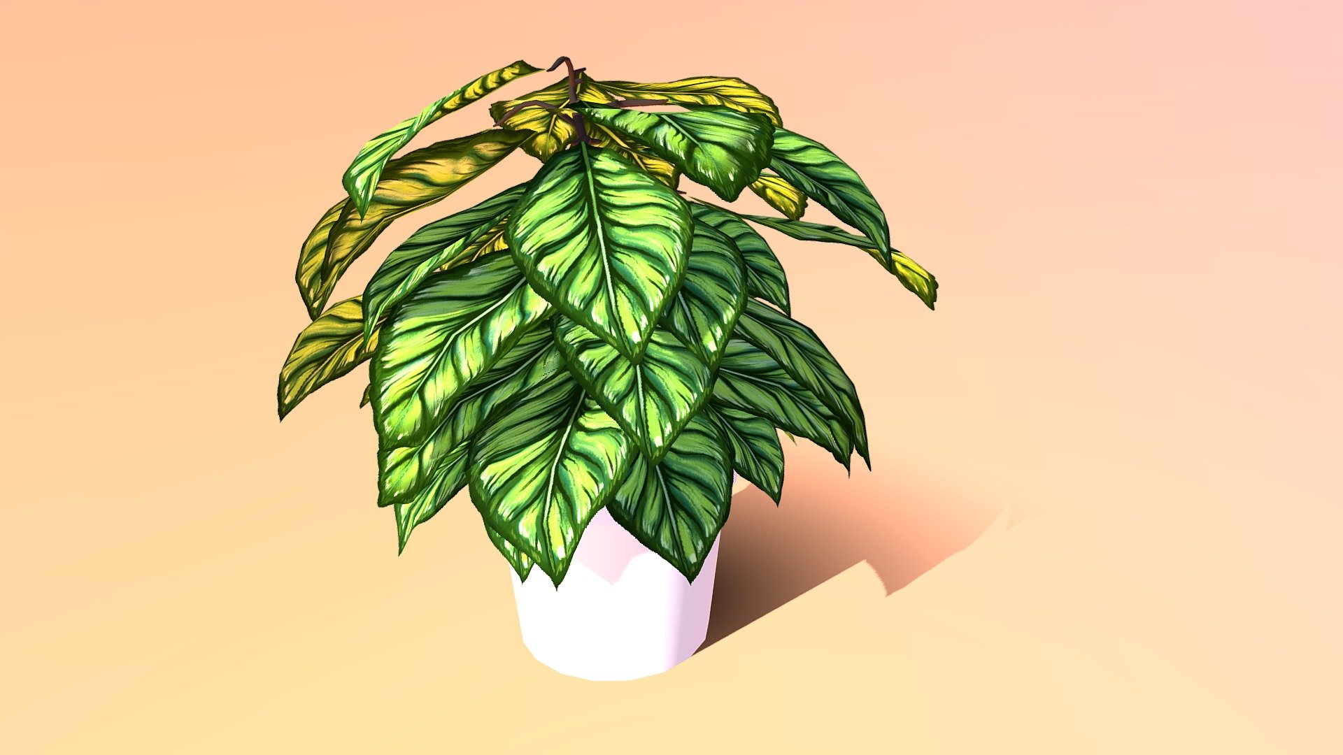Houseplant - 3D model by Sofi Randel (@SofiaMarina) [e6d0c8f] - Sketchfab