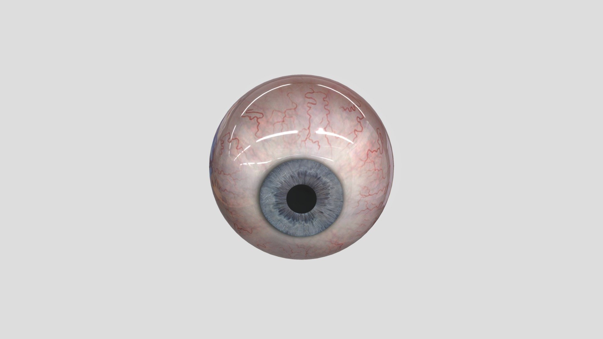 Eyeball - 3D model by haza__d (@whowle) [e6da402] - Sketchfab