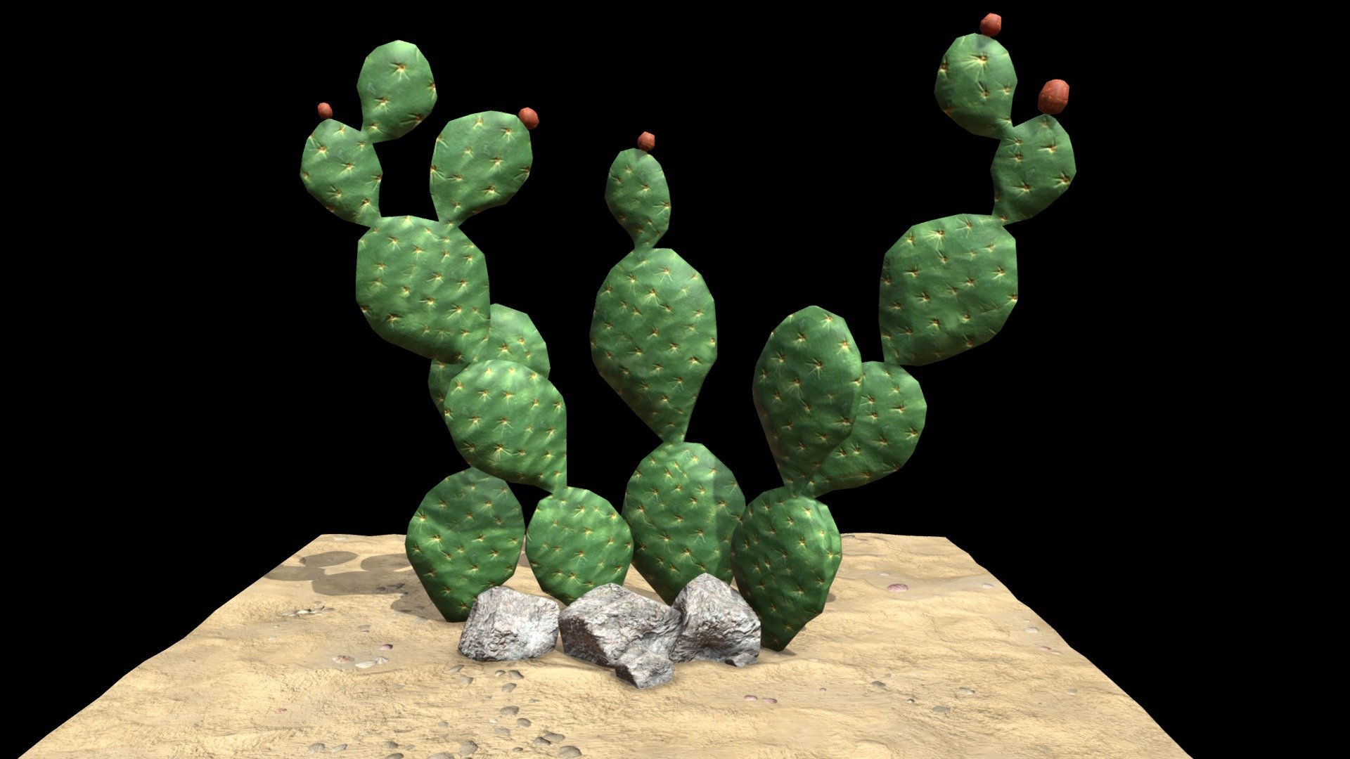 Pueblo_cactus_prop - 3D model by Vlqz [e6e9365] - Sketchfab