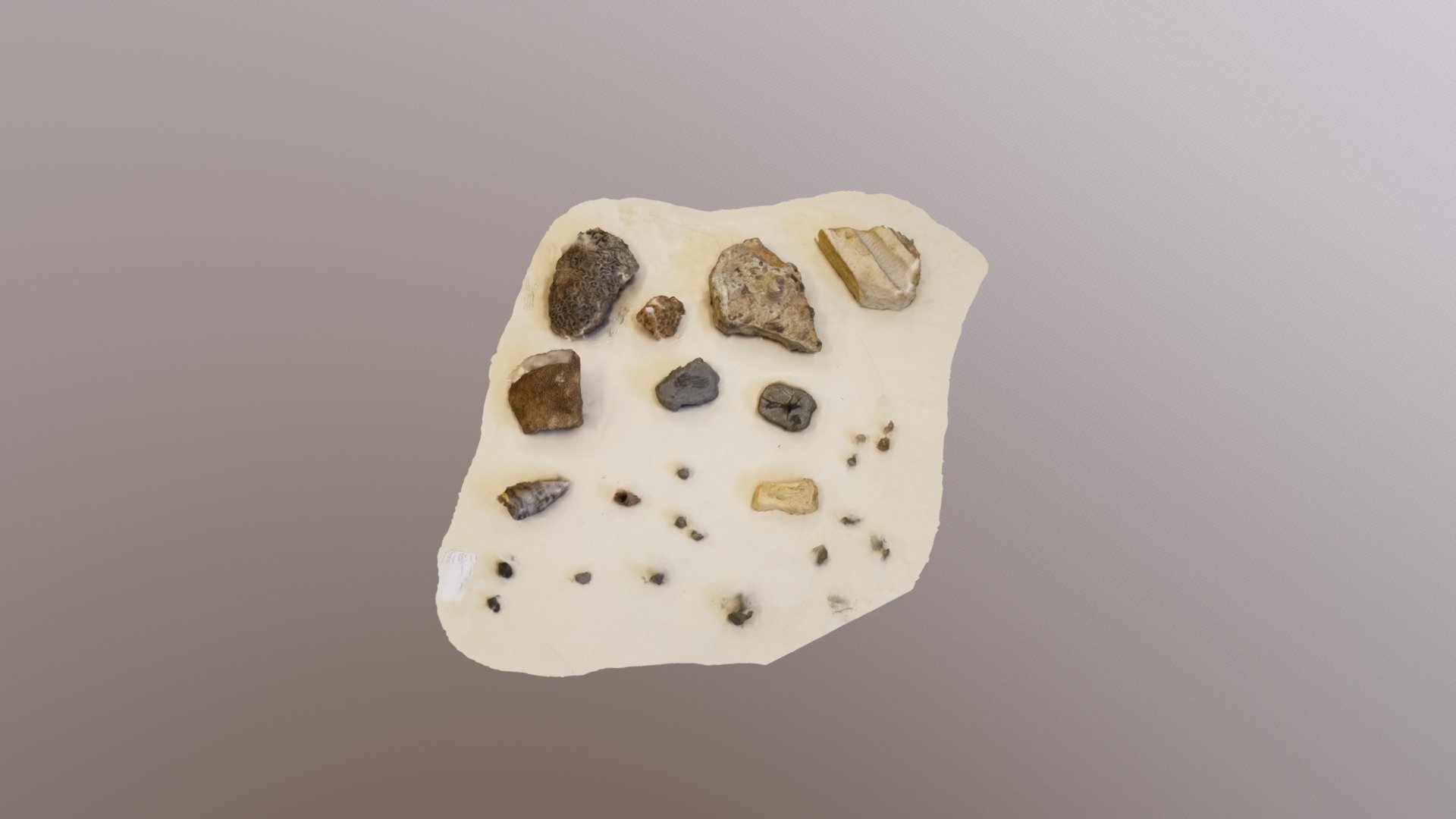 Paleozoic - 3D model by Max Christie (@mchristie09) [e6ed216] - Sketchfab