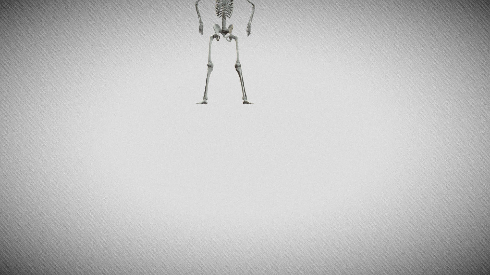 Hip Hop Skeleton - 3D model by patrick.france [e6ef658] - Sketchfab