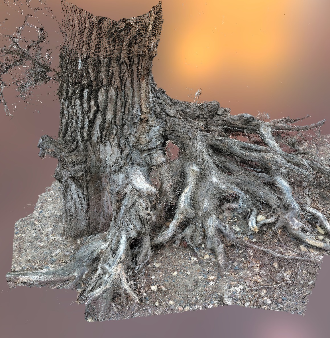 Tree Roots #1 - Download Free 3D model by bigbirdtommy [e6ef7d4 ...