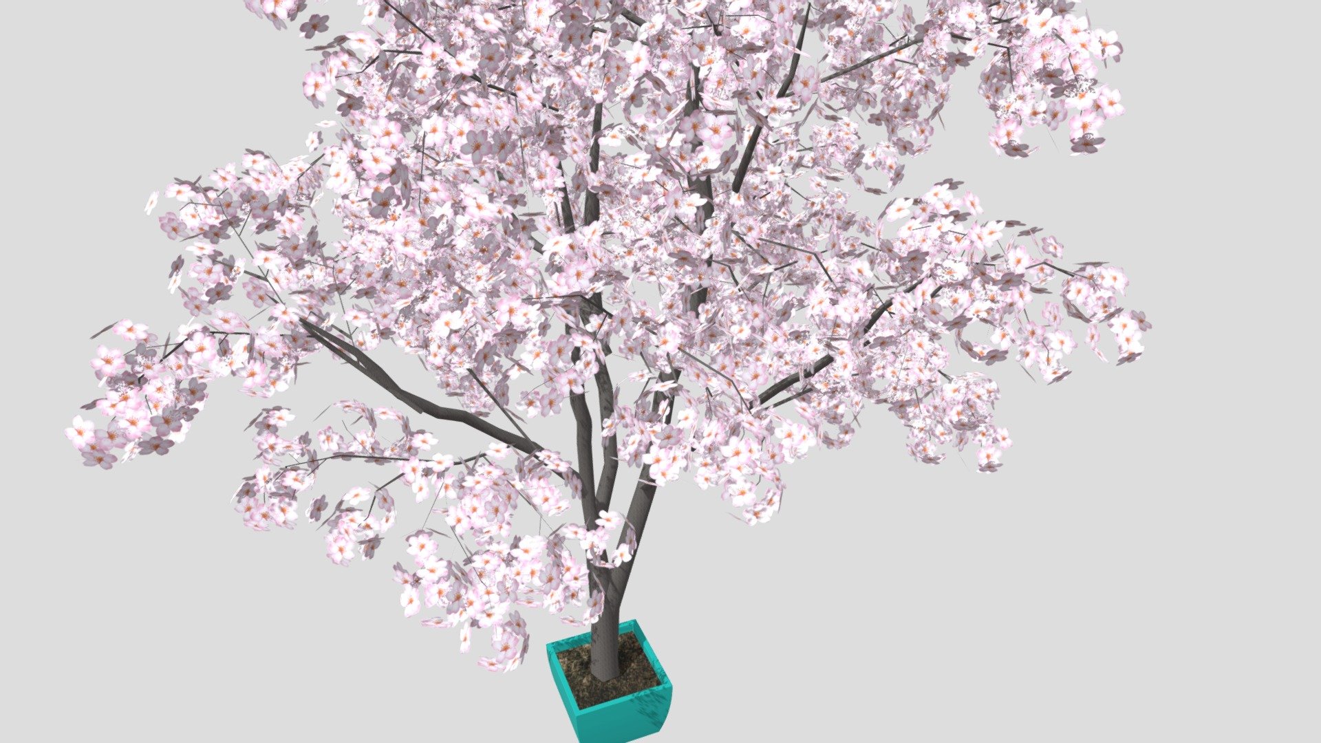 Sakura Tree on a pot - Download Free 3D model by musyah [e6f2e17 ...