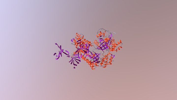 Polymerase 3D models - Sketchfab