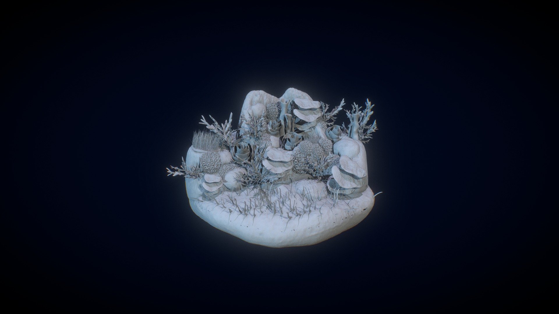 Under The Sea - 3D model by marjoriedeneux [e6ff891] - Sketchfab