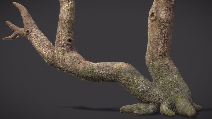 Deadtree 3D models - Sketchfab