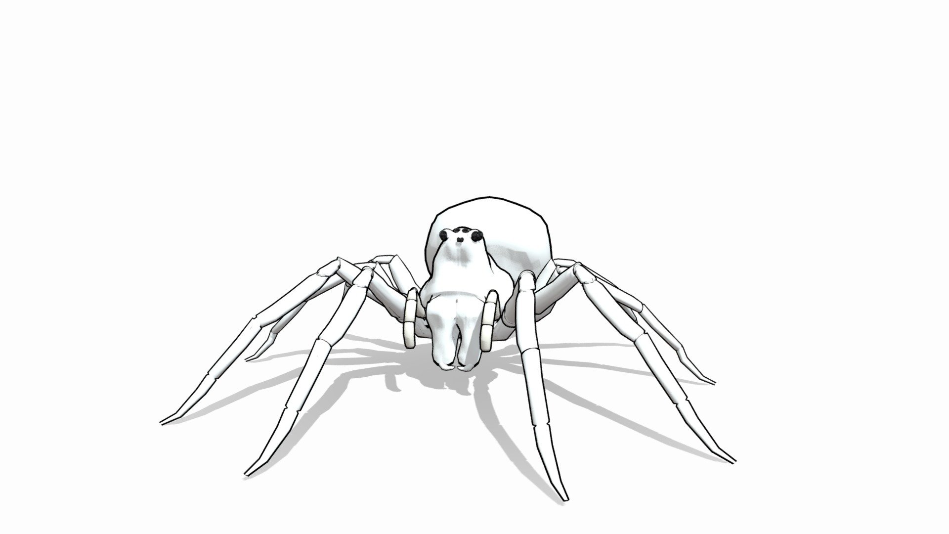 Anapidae eye pattern - 3D model by Spider (@the_spider) [e728e99 ...