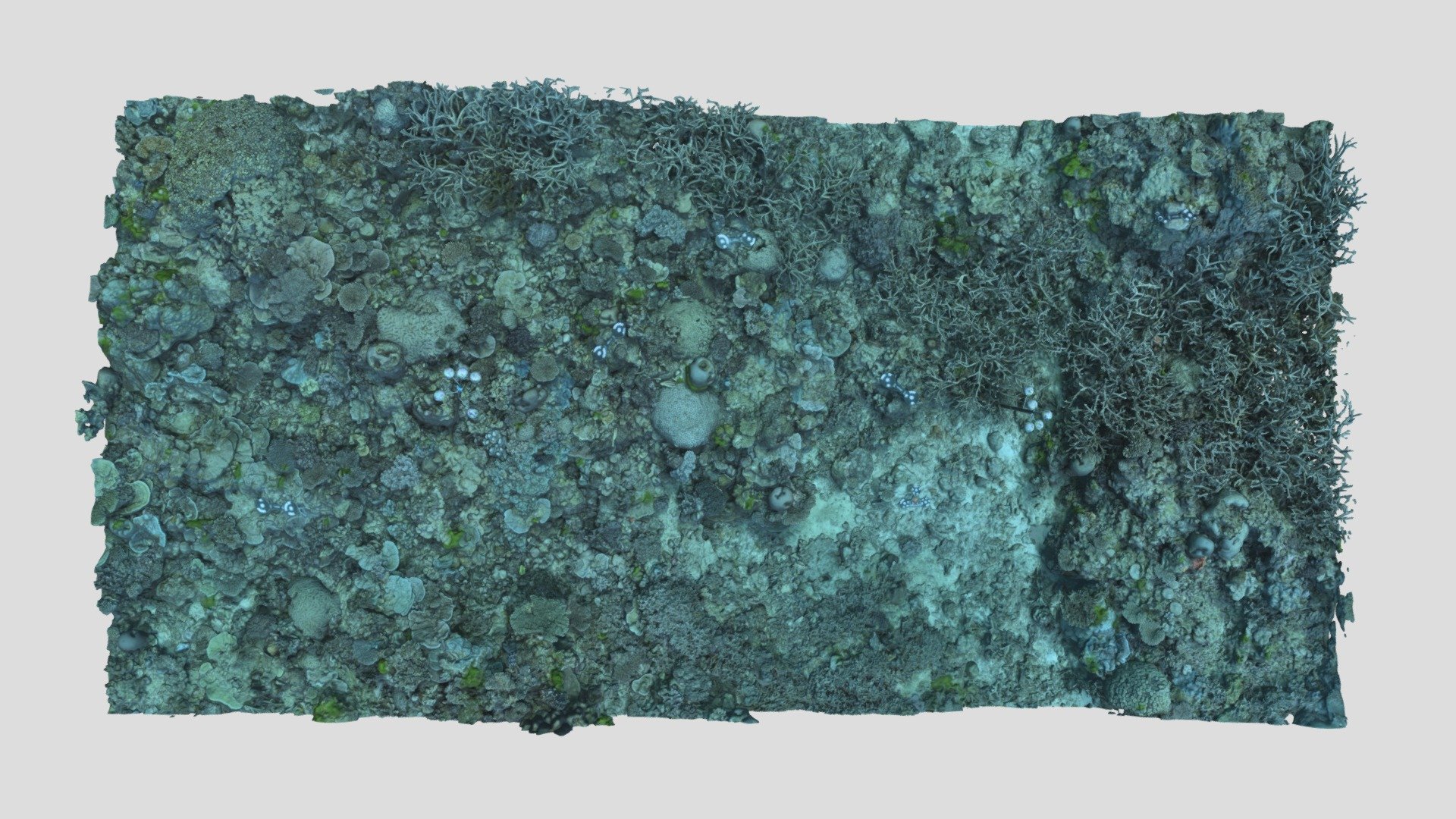 Heron_FR2D_P1_202205 - Download Free 3D model by EcoRRAP (@AIMSEcoRRAP ...