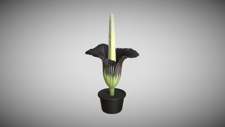 Pollination 3D models - Sketchfab