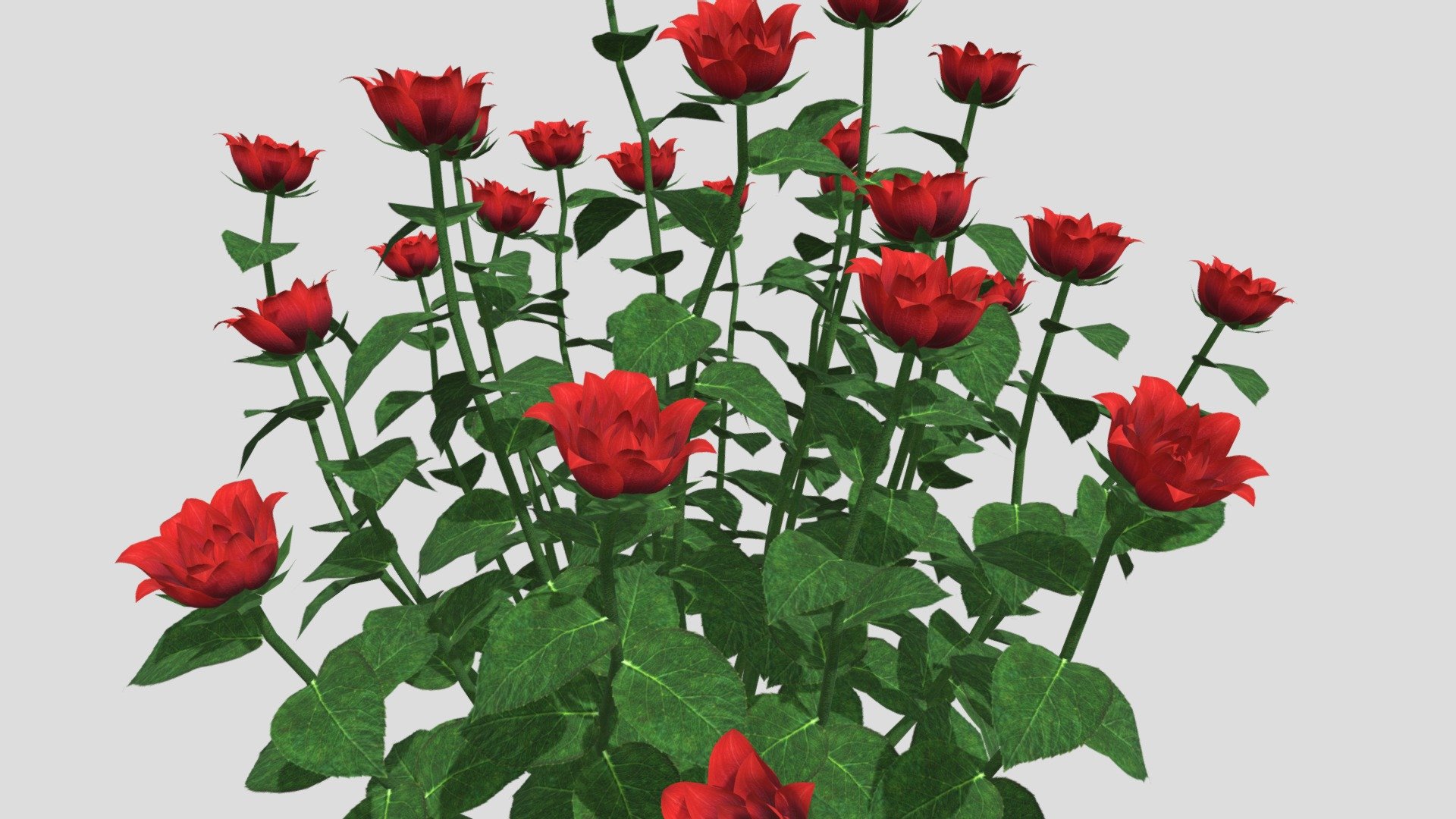 Roses Flower 3d model - Buy Royalty Free 3D model by KIZILBOGA ...