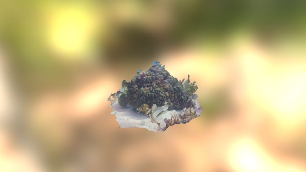 Medium Mound 2 Simplified 3d Mesh - 3D model by Ross Stephenson ...