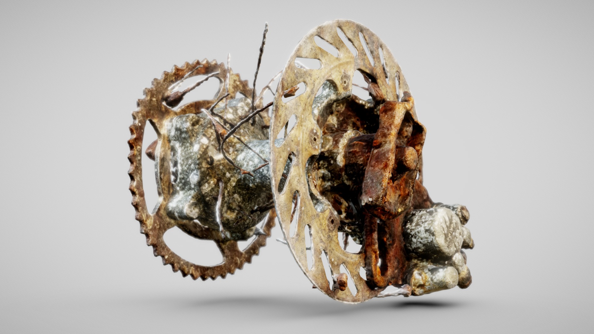 Beachcombing Treasure - Download Free 3D model by Loïc Norgeot ...
