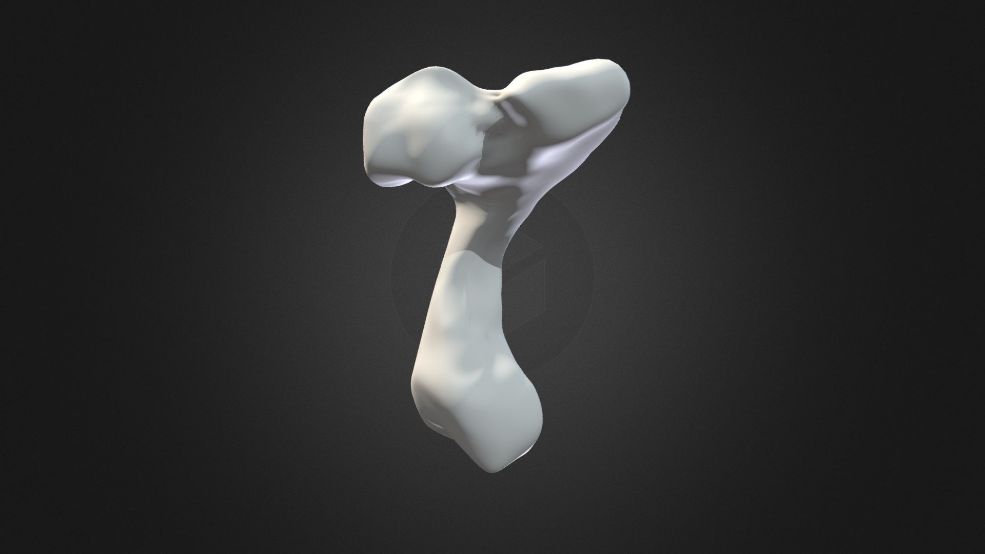 snapping turtle humerus - 3D model by ritu (@PRIKORAD) [e75434d ...