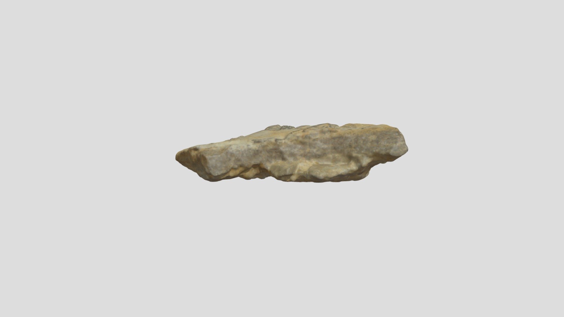 Lotus Flower Fossil - 3D model by tspattison [e75707b] - Sketchfab