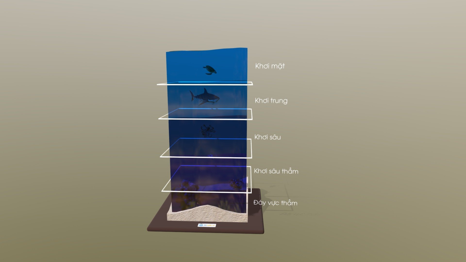Cube Ocean - 3D model by EDMICRO EDUCATION COMPANY LIMITED- 0108115077 ...