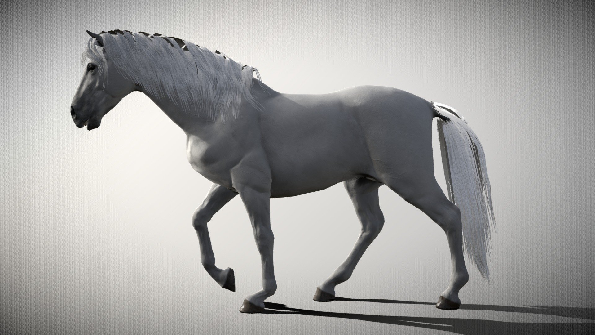 white horse - Buy Royalty Free 3D model by 3dartstevenz [e768bee ...