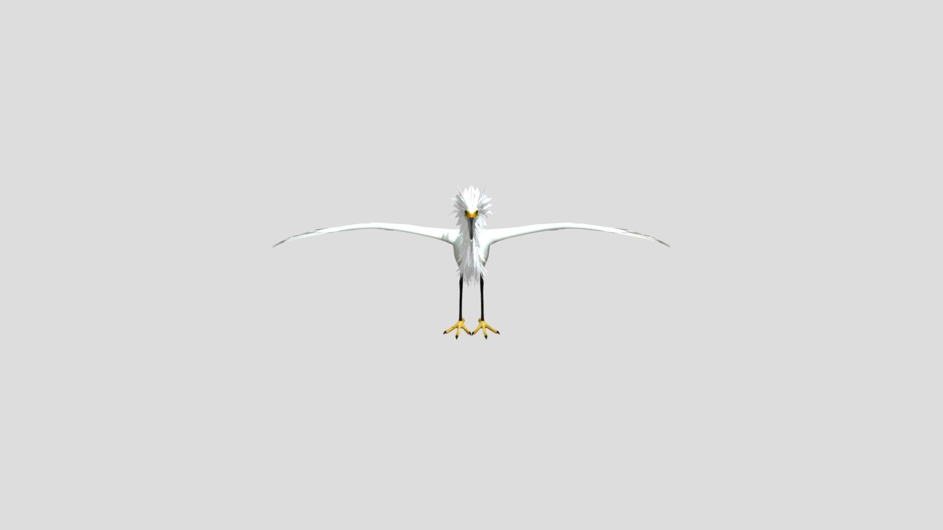 egret - Download Free 3D model by Jacknjellify (@Pofdpoi) [e76e142 ...