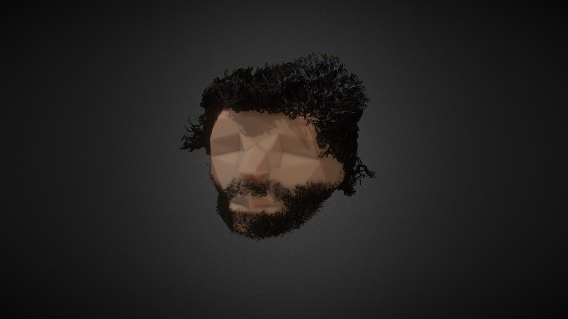 Low poly caucasian face with hair and beard - Download Free 3D model by ...