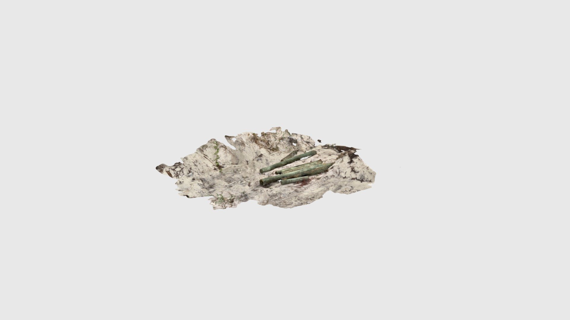 Rock Iguana (Cyclura rileyi rileyi) habitat - 3D model by Seneca Park ...