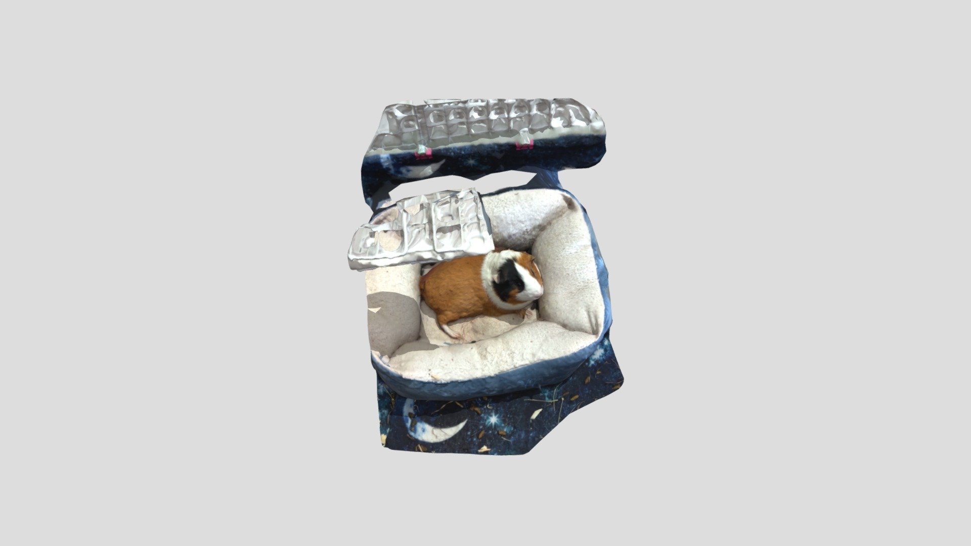 Sokka the Piggie - 3D model by destinybonavita [e77a96c] - Sketchfab
