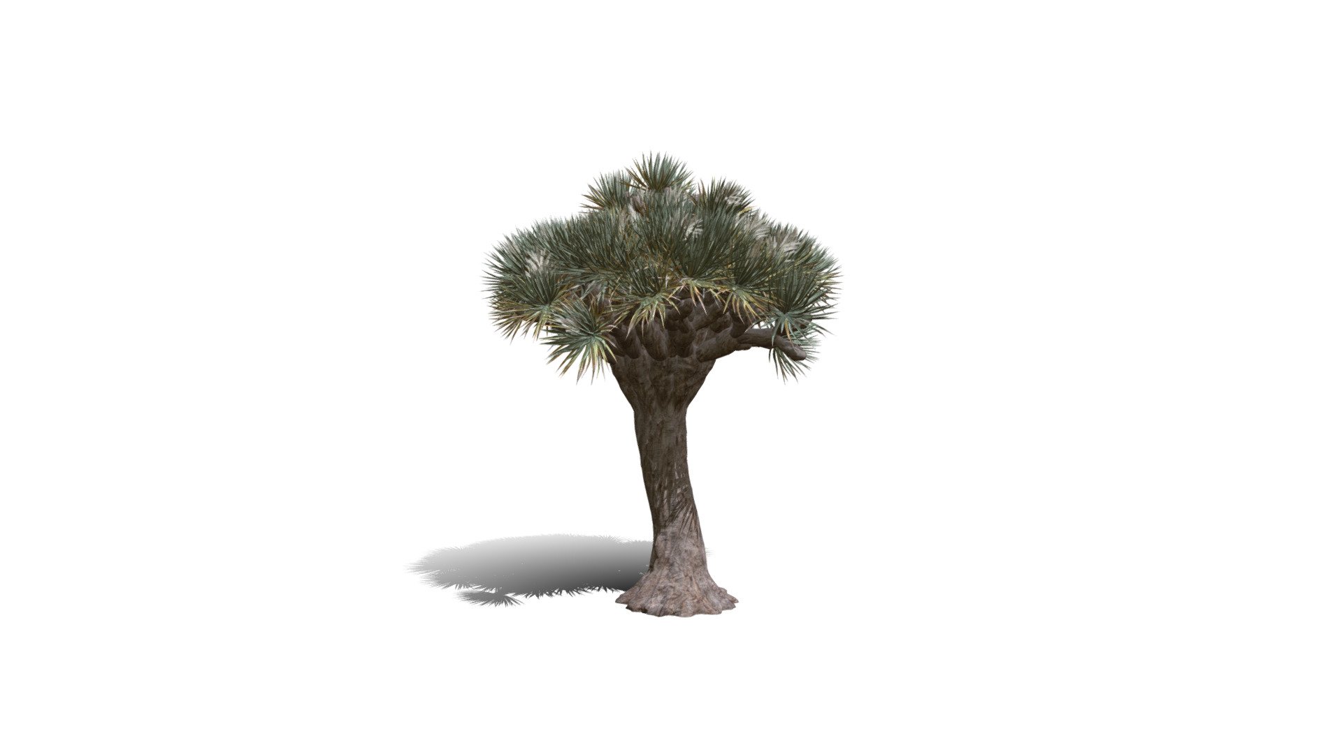 Realistic HD Dragon tree (24/50) - Download Free 3D model by ...