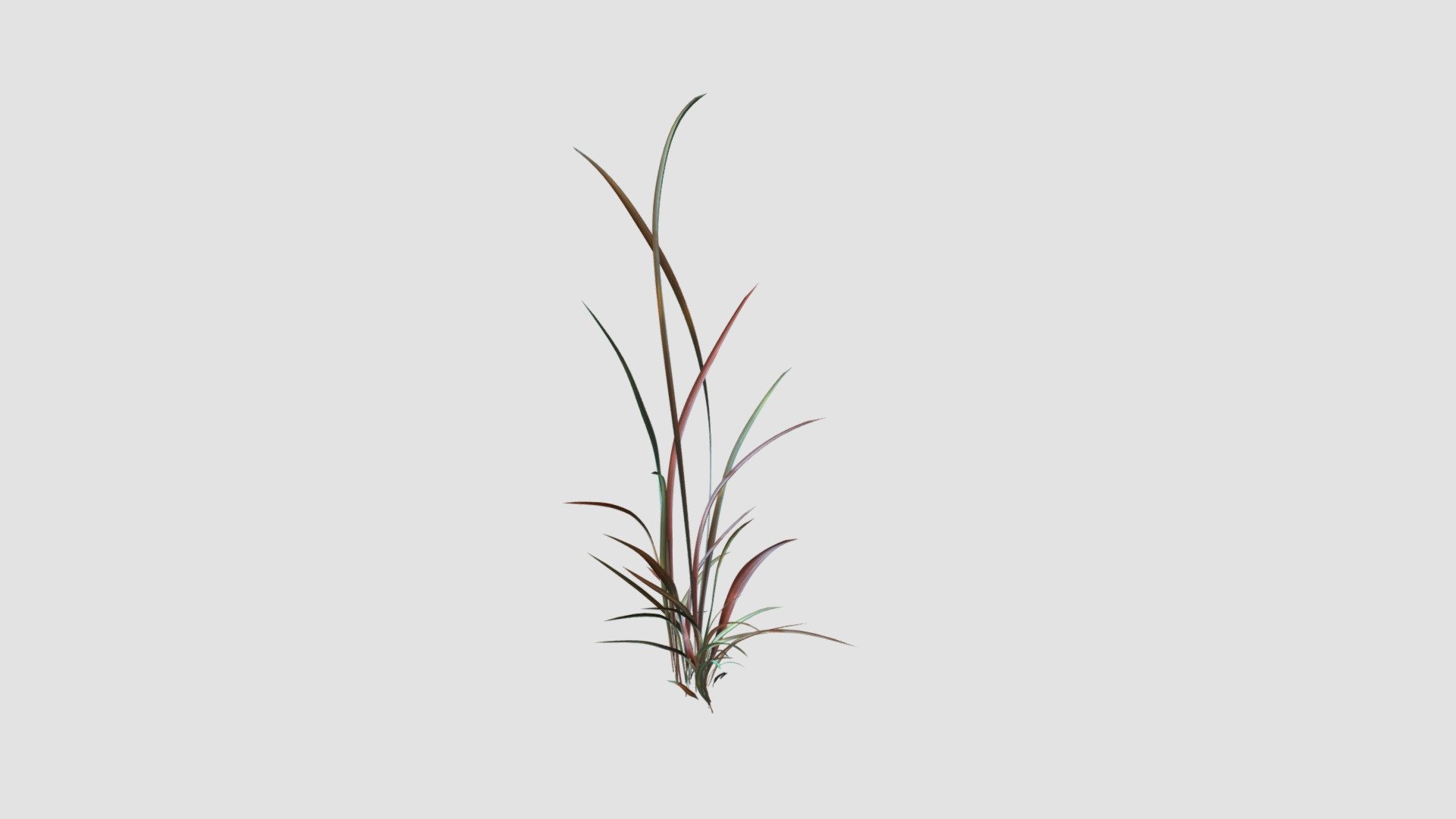 simple grass - Buy Royalty Free 3D model by Evermotion [e78b727 ...