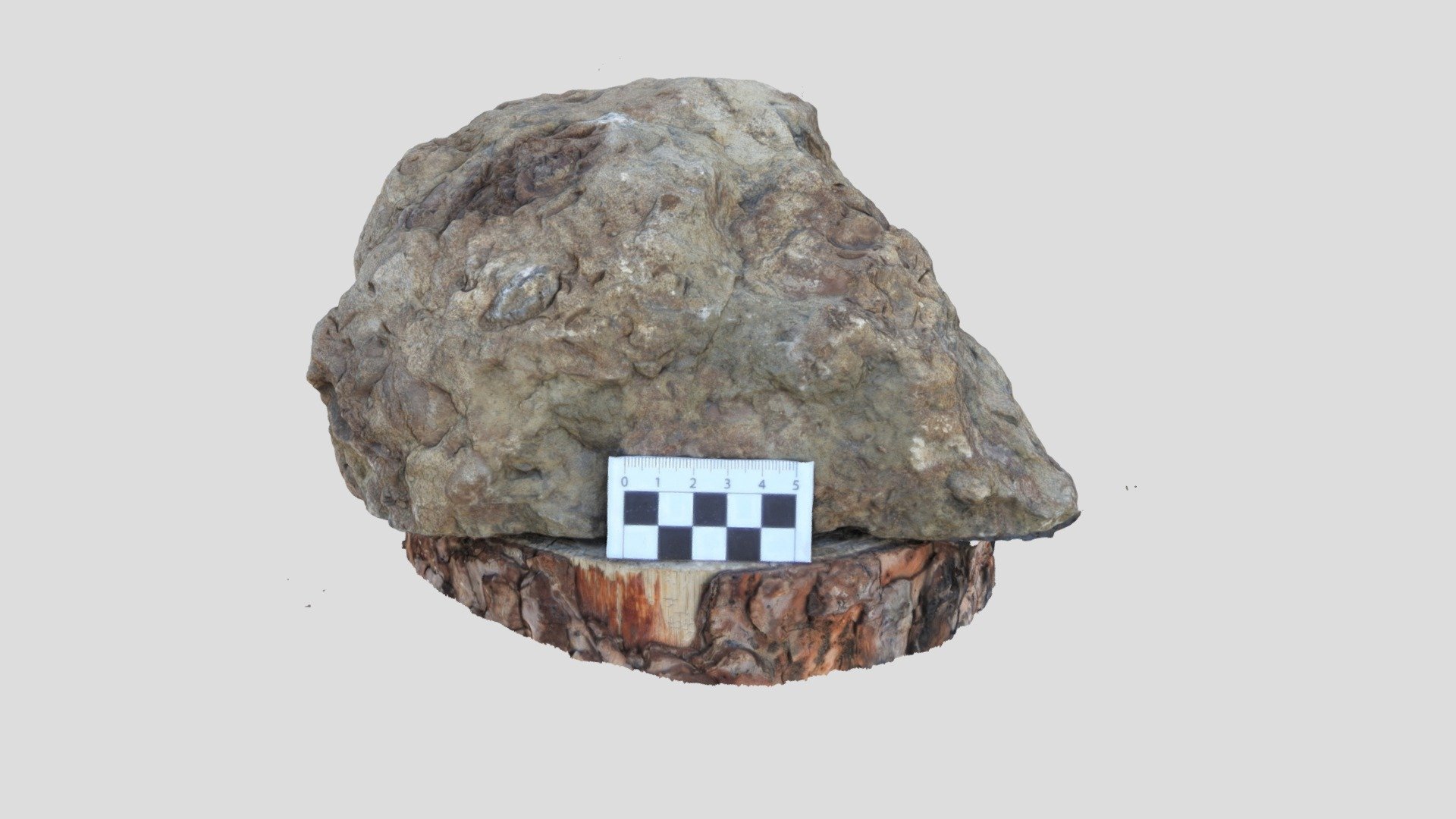 K9 - Download Free 3D model by Mara Mendez (@mmara953) [e78b7d2 ...