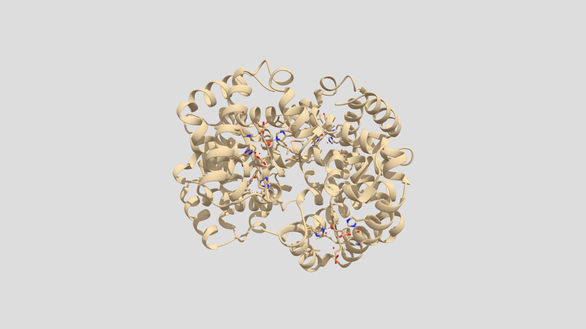 HEMOGLOBIN A - 3D model by raimaulion [e78dd9e] - Sketchfab