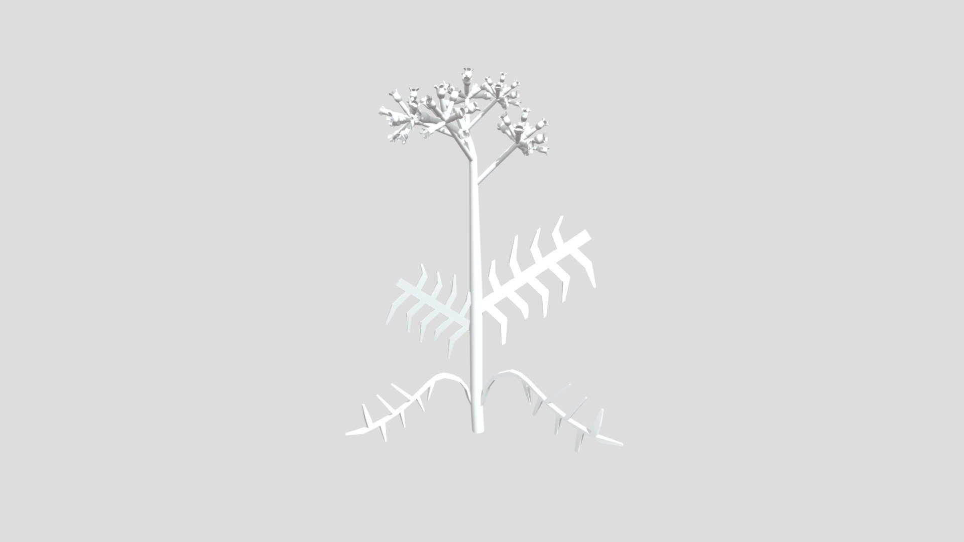 Valarian - Download Free 3D model by Lucy Weller (@Wistarian) [e7a38f9 ...