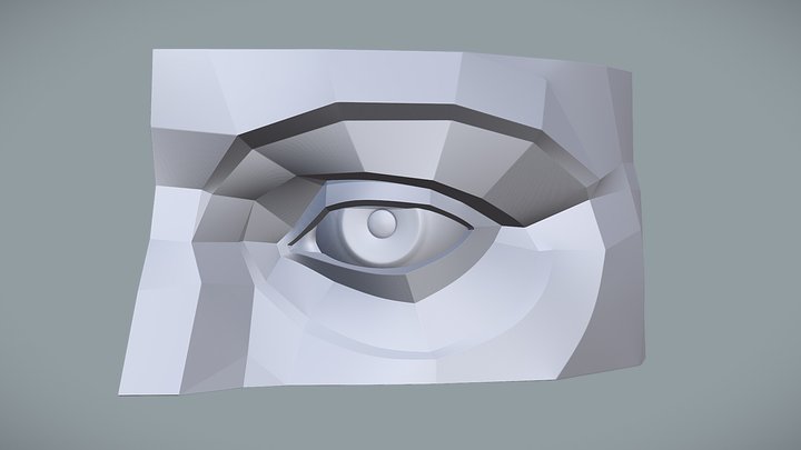 Anatomy-reference 3D models - Sketchfab
