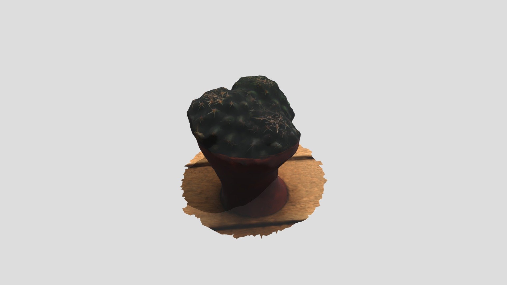 Cactus with texture - 3D model by rocanar [e7acda5] - Sketchfab